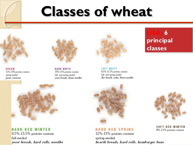 Soft Red Winter: negli USA crolla la qualità - Materie Prime ...