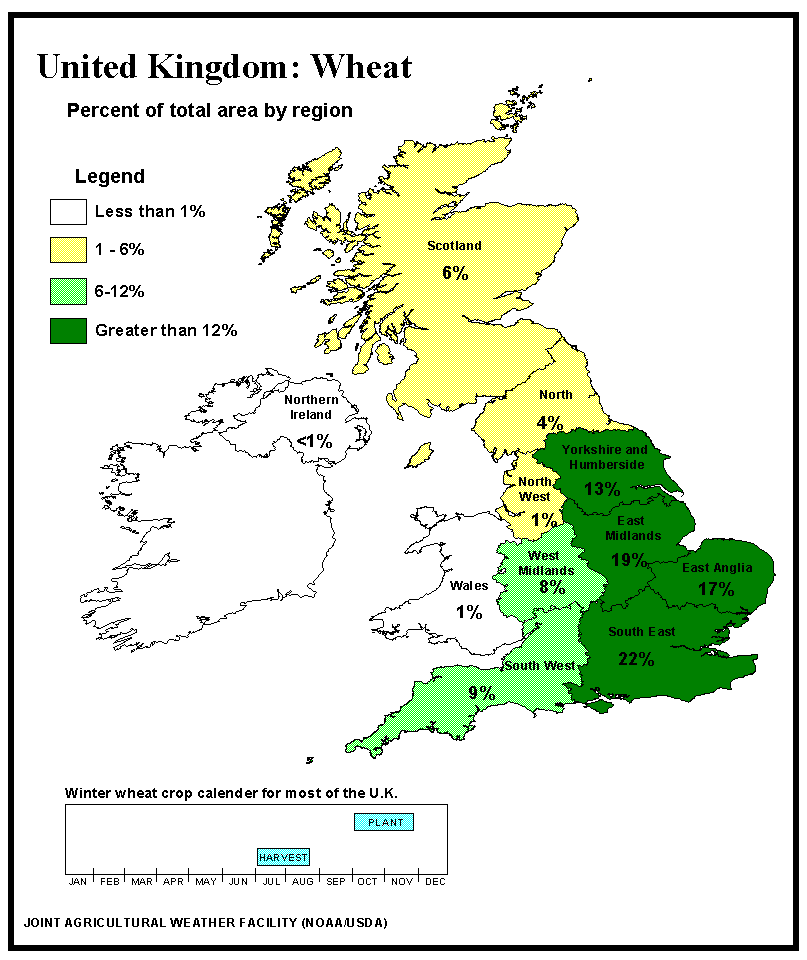 Frumento: confermata la resa record in UK - Materie Prime ...