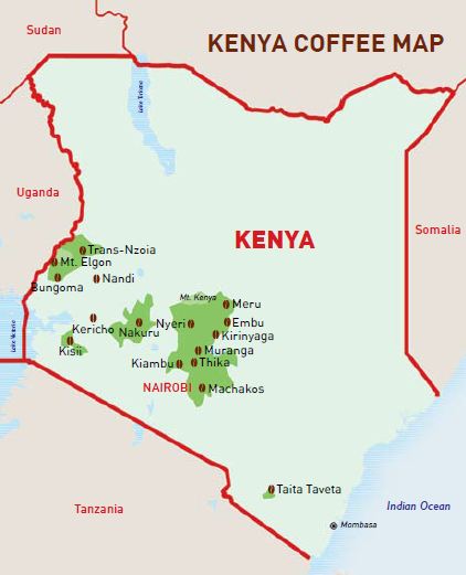 Caffè: in pericolo il raccolto del Kenya - Materie Prime ...