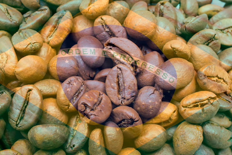 Caffè, Brasile: raccolti in dirittura d’arrivo - Materie Prime ...